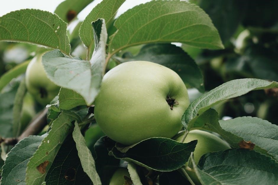 How to Identify Apple Trees: A Complete Guide